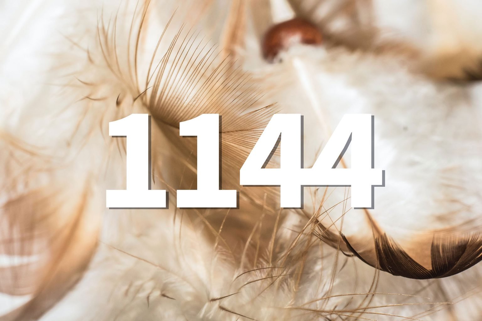 The Angel Number 1144 Meaning And Its Significance - Soul Eternity